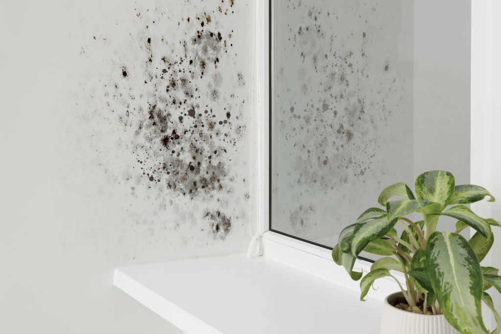 Thermal bridges: how to recognize and eliminate them